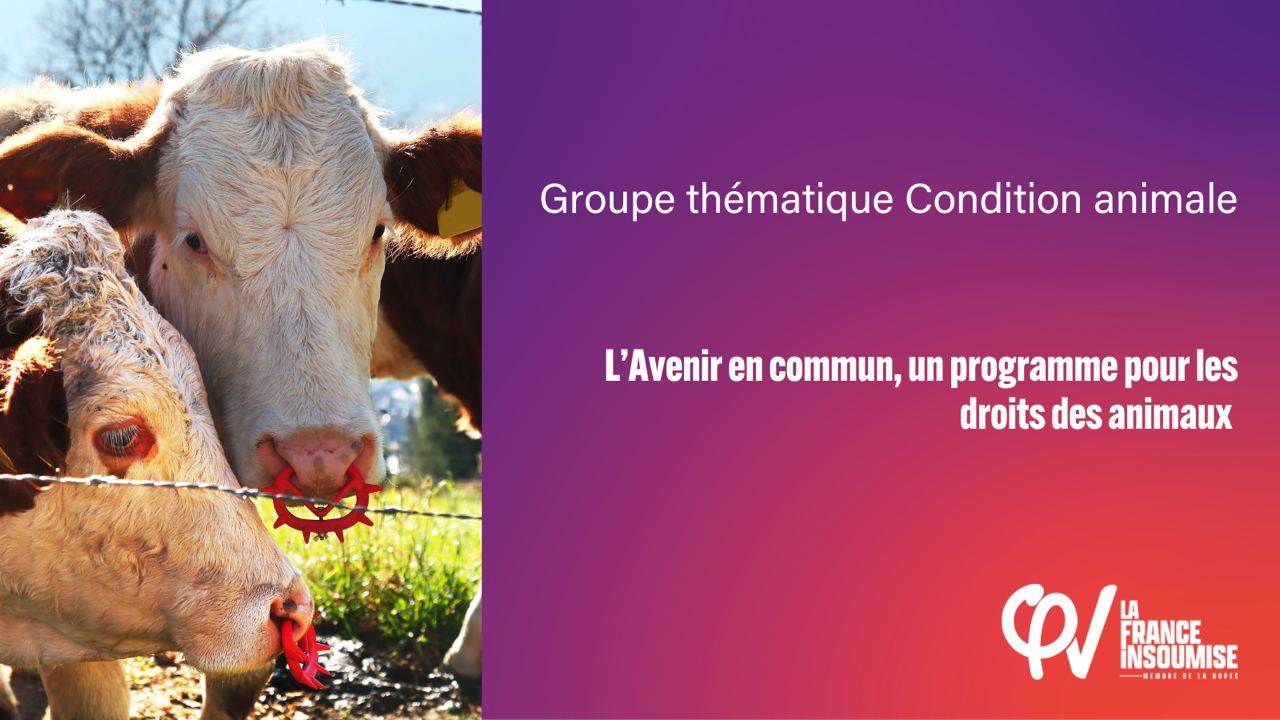 L’Avenir en commun, un programme pour les droits des animaux - La France insoumise