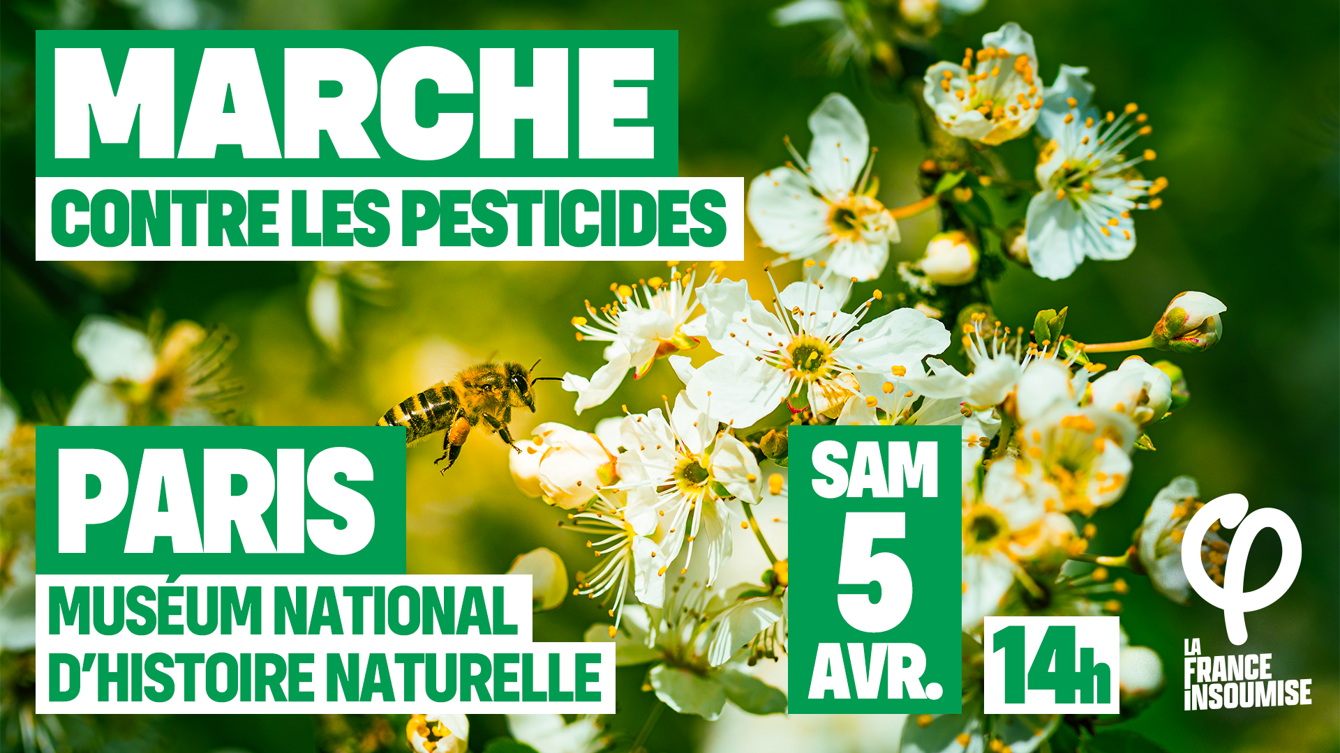 Les membres du bureau du groupe LFI-NFP à l'Assemblée nationale - La France insoumise